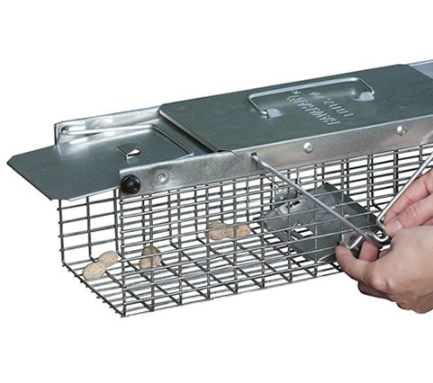 Small 2-Door Live Animal Trap | Havahart® 1025-B
