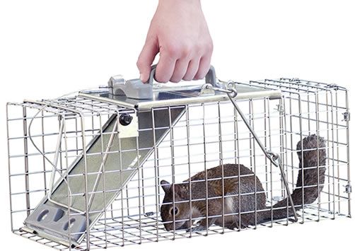 Small Easy Set Simple, Secure Animal Traps | Havahart®